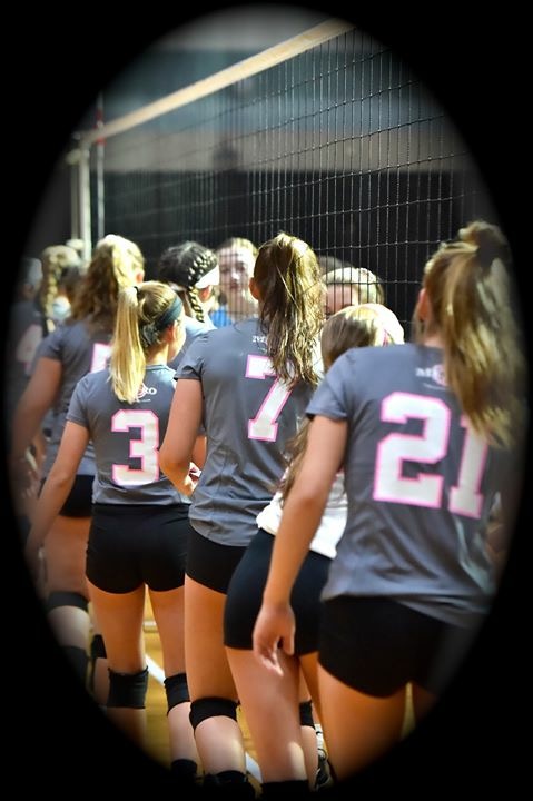 Welcome to Metro Volleyball Club!